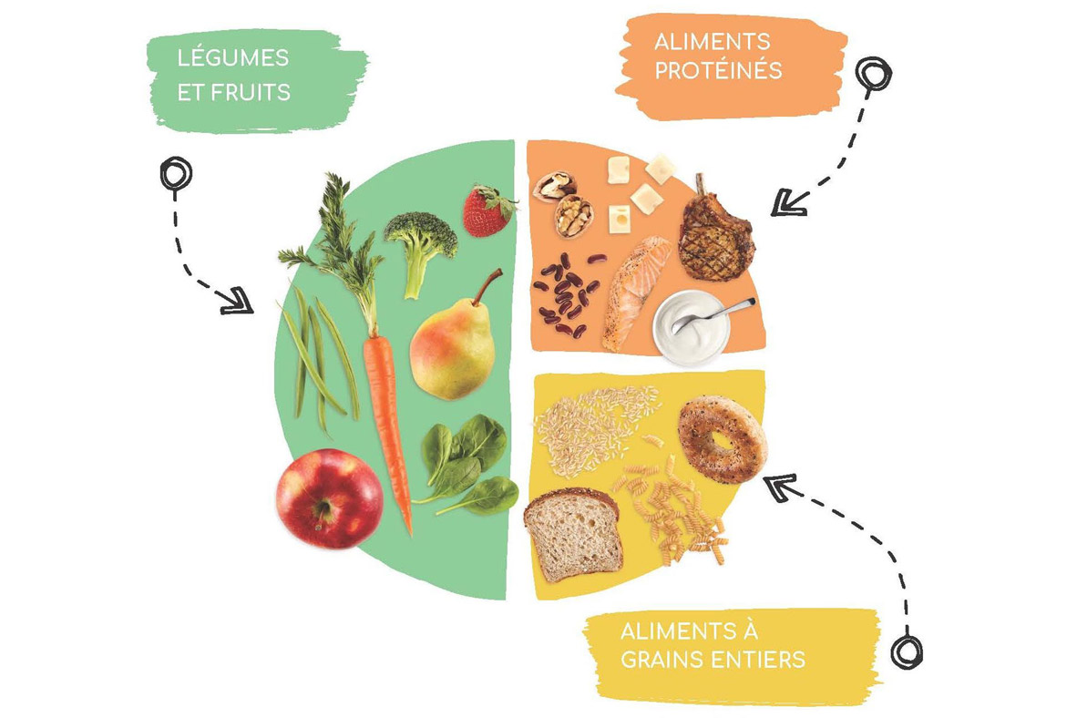 Educational Resources To Talk About Canada s Food Guide Teach Educational Resources To Talk About Canada s Food Guide Teach